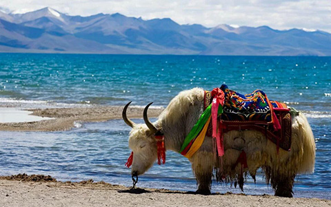 Namtso Lake